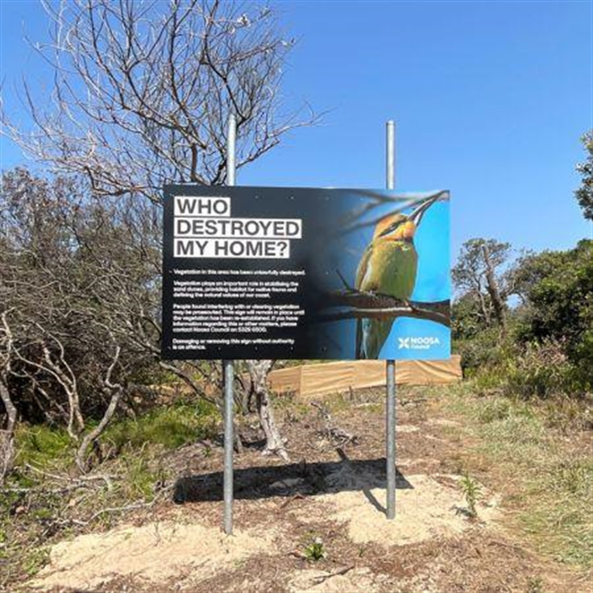 Large sign installed at illegal tree-clearing site | Noosa Shire Council