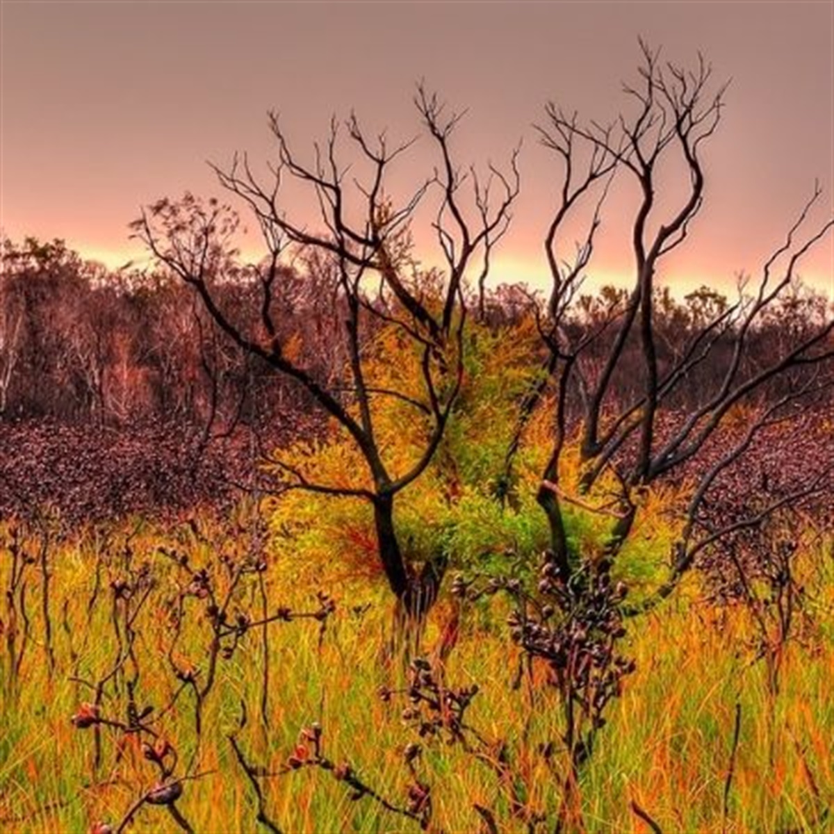 Regional Climate Action Roadmap | Noosa Shire Council